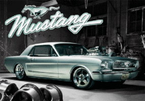 Lilly Ford GIFs - Find & Share on GIPHY