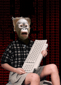 Monkey Typewriter Gif