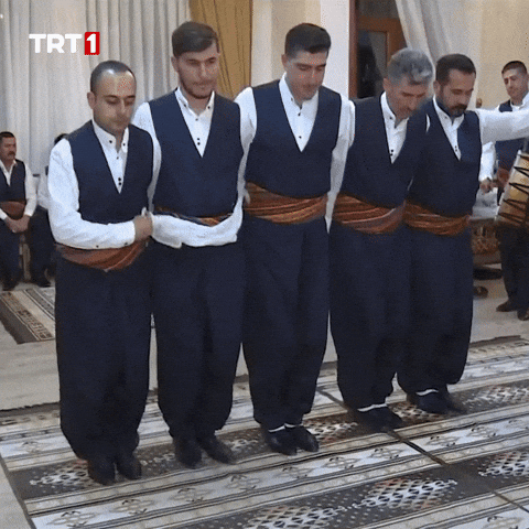 New People GIFs - Get the best GIF on GIPHY