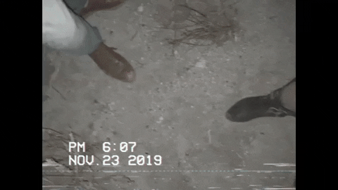 Deja Vu GIF by lenay - Find & Share on GIPHY