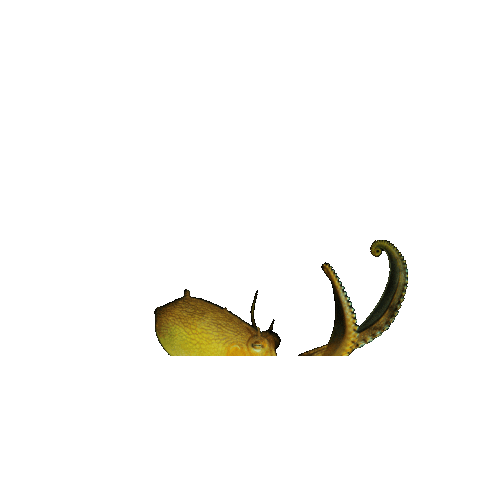 Real Cephalopod Sticker Pack GIFs on GIPHY - Be Animated