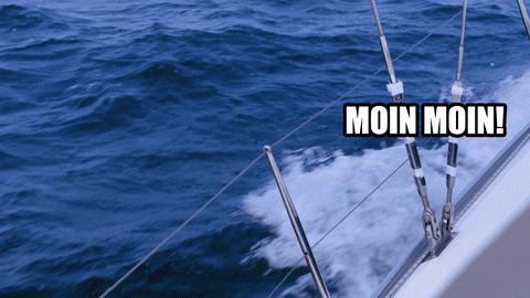 Moin GIFs - Get the best GIF on GIPHY