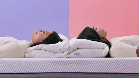 Purple GIFs - Find & Share on GIPHY