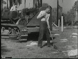 Why Not Live GIFs - Get the best GIF on GIPHY