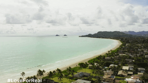 Beach View GIFs - Get the best GIF on GIPHY