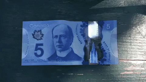 Five Dollars Canadian Money GIF by constant - Find & Share on GIPHY