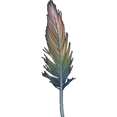 Color Bird Sticker for iOS & Android | GIPHY