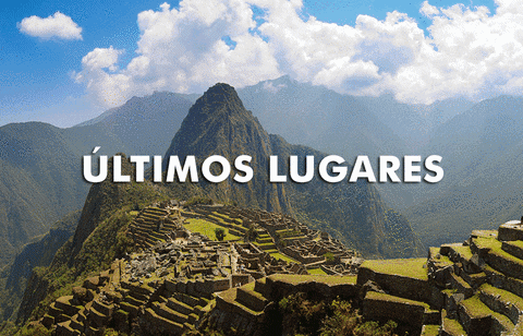 Wonder World Tour GIFs - Get the best GIF on GIPHY