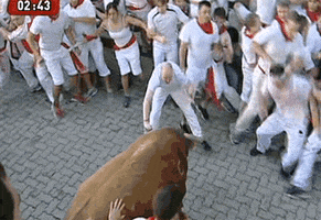 Running Of The Bulls GIFs - Find & Share on GIPHY