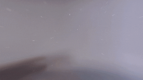 All I Know Is Ive Always Known You GIFs - Get the best GIF on GIPHY