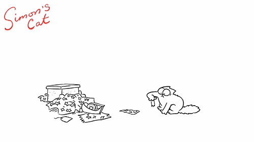 Simon Cat GIFs - Get the best GIF on GIPHY