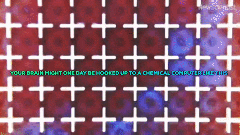 Weird science GIFs on GIPHY - Be Animated