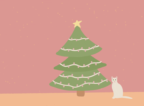 Christmas Tree Cat GIF - Find & Share on GIPHY