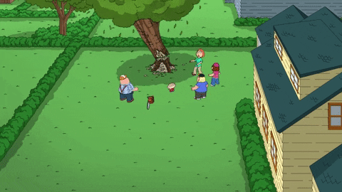 Fall Tree GIF by Family Guy - Find & Share on GIPHY