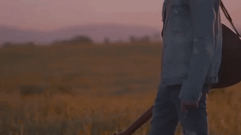 Common Sense GIFs on GIPHY - Be Animated