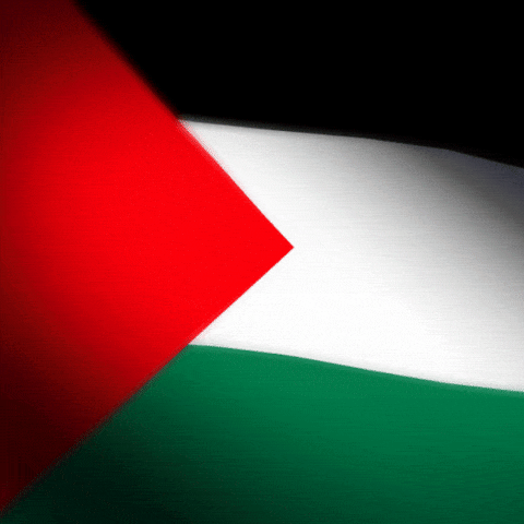 Palestine Flag GIFs - Get the best GIF on GIPHY