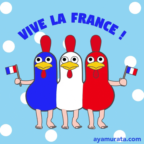 La-france-vive GIFs - Get the best GIF on GIPHY