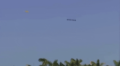 Fbi-raid-meme GIFs - Get the best GIF on GIPHY