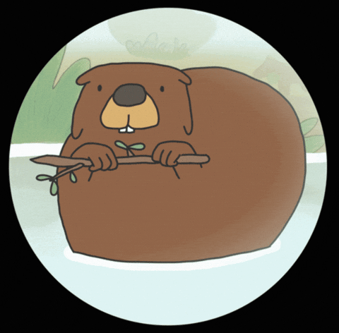 Wood Eating GIF by Cut the Mustard - Find & Share on GIPHY