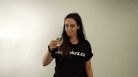 Drunk New Year GIF by Skrz.cz - Find & Share on GIPHY