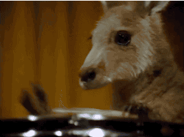 Urban Dictionary: skippy