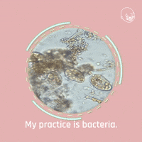 Bacterium GIFs - Get the best GIF on GIPHY