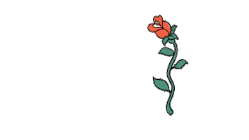 Pinot and Rock GIFs on GIPHY - Be Animated