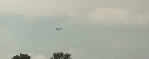 Flying Away Gif