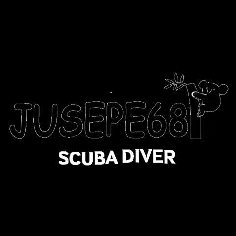 Scuba-diver GIFs - Get the best GIF on GIPHY