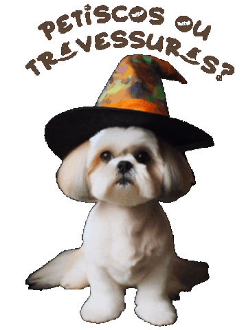 Pet GIFs on GIPHY - Be Animated