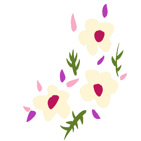 This rare rainforest tree is mass flowering in outback Queensland - ABC ...