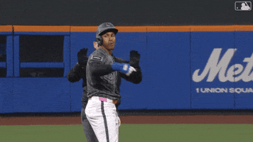 New York Mets GIFs on GIPHY - Be Animated