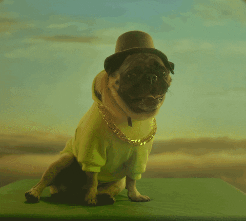 Fantasia-funny GIFs - Get the best GIF on GIPHY