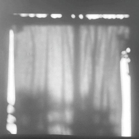 Window-with-shadow GIFs - Get the best GIF on GIPHY