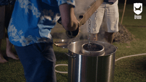 Brewing Beer GIFs - Get the best GIF on GIPHY