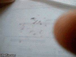 Junk Eraser GIFs - Get the best GIF on GIPHY