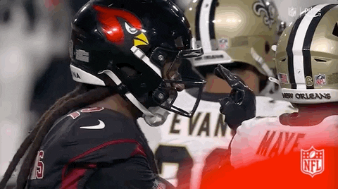 Arizona Cardinals Football GIF by NFL - Find & Share on GIPHY