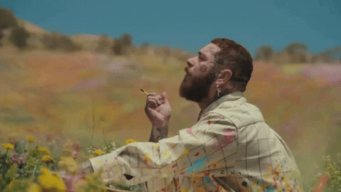 I Like You A Happier Song GIF by Post Malone - Find & Share on GIPHY