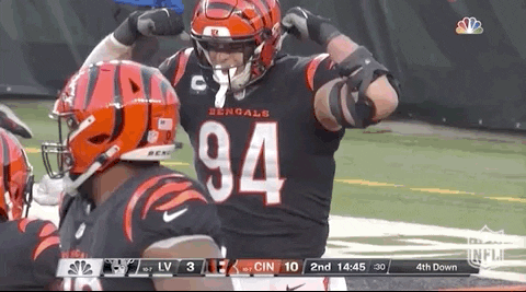 Nfl Playoffs Football GIF by NFL - Find & Share on GIPHY