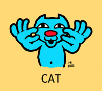Sign Language Cat