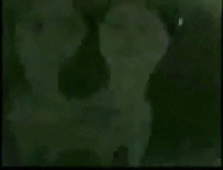 Traicion GIFs - Get the best GIF on GIPHY