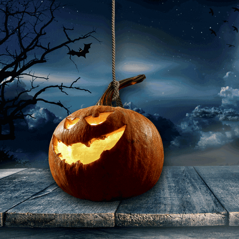 Jack O Lantern Halloween GIF by Cifo - Find & Share on GIPHY