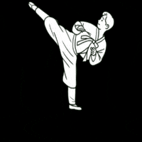Kick Karate Gif Find Share On Giphy