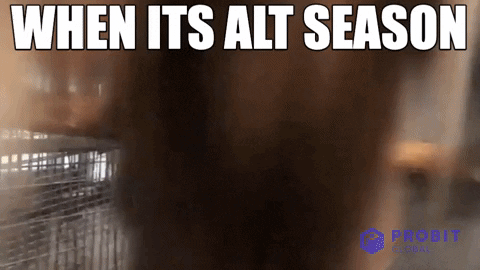 Alt-season GIFs - Get the best GIF on GIPHY