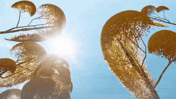 Open Season GIFs - Find & Share on GIPHY