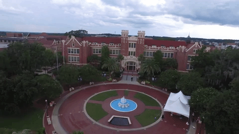 Florida State University Fsu GIF - Find & Share on GIPHY