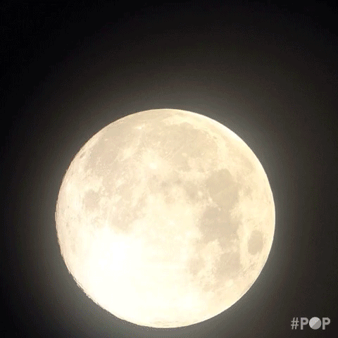 Full Moon GIF by GoPop - Find & Share on GIPHY