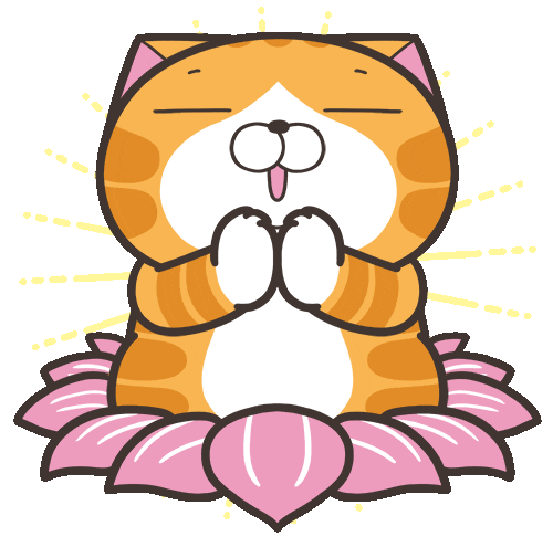 Cat Celebrate Sticker by MochiDad for iOS & Android | GIPHY