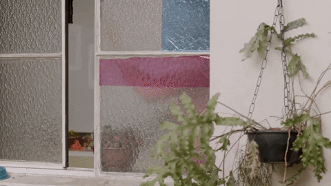 Floral-shades GIFs - Get the best GIF on GIPHY