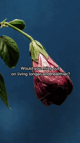 Flower Contribute GIF by Persist ventures - Find & Share on GIPHY